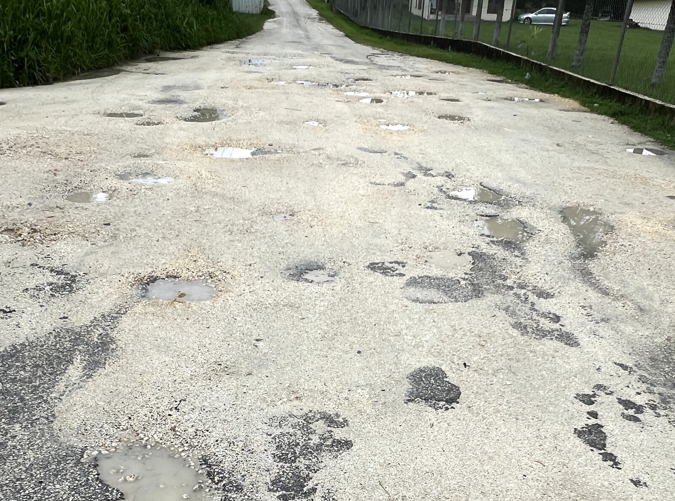 HOME - Tonga Independent News