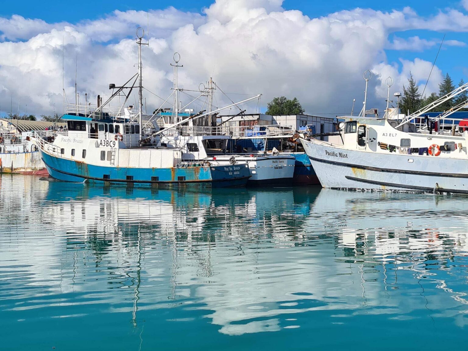 Government Fish Import Plan Faces Backlash in Parliament and Industry ...